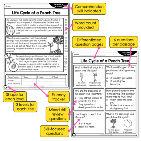 Reading Comprehension Passages Bundle - Lucky Little Learners