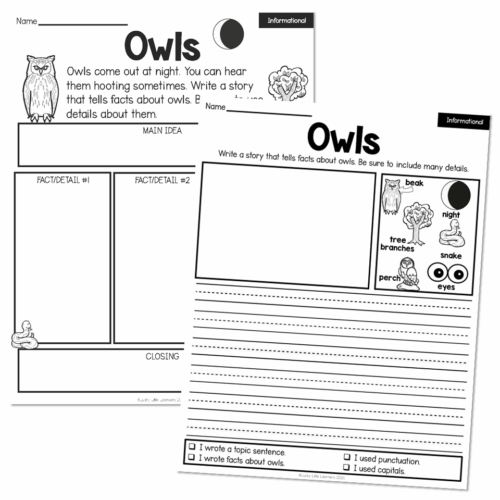 1st Grade October Writing Pages - Informational - Owls - Lucky Little ...