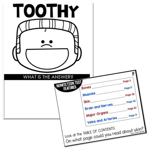 Toothy - Reading Comprehension - 1st Grade - Nonfiction Text Features ...
