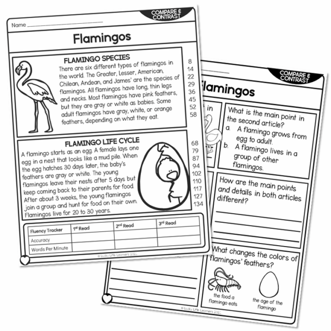 2nd Grade NonFiction Compare and Contrast Reading Passage - Flamingos ...