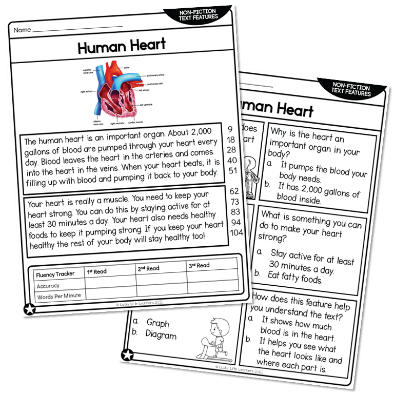 2nd Grade Nonfiction Text Features Reading Passage - Human Heart ...