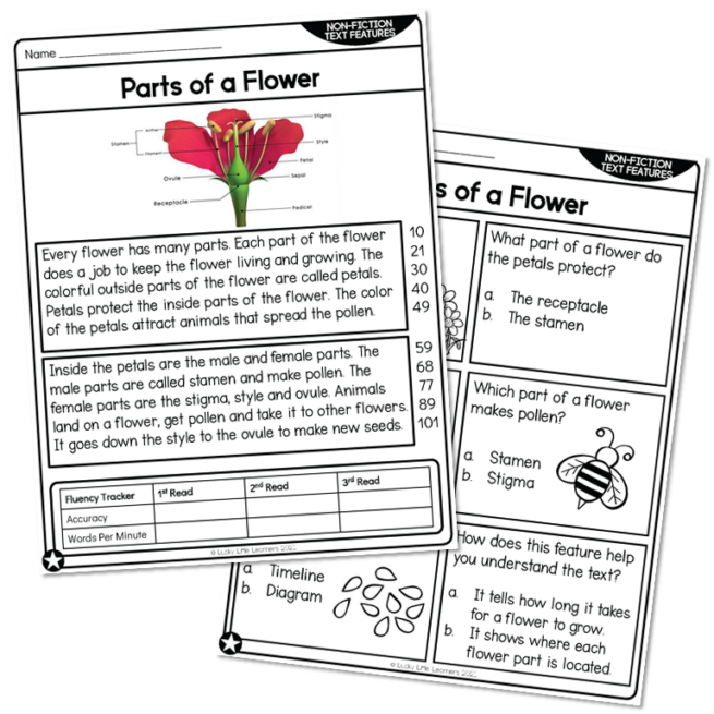 2nd Grade Nonfiction Text Features Reading Passage - Parts of a Flower ...