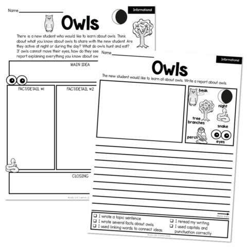 2nd Grade October Writing Pages - Informational - Owls - Lucky Little ...