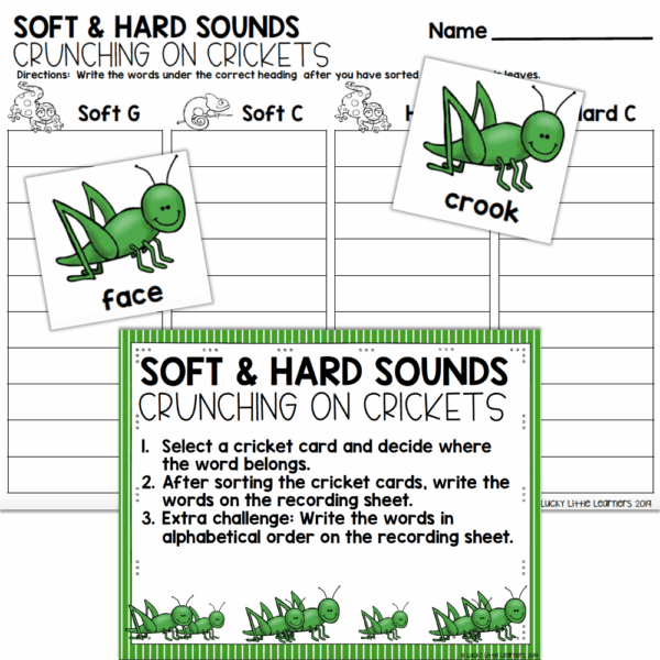 2nd Grade Phonics Center - Hard and Soft C and G - Lucky Little Learners