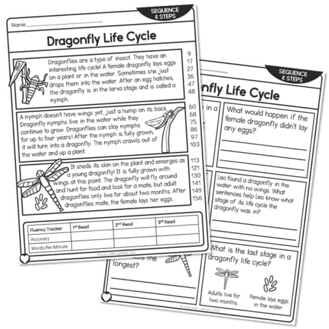 Phonics Poems - Long I Silent e - Lucky Little Learners