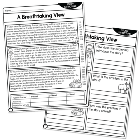2nd Grade Story Structure Reading Passage - A Breathtaking View - Above ...