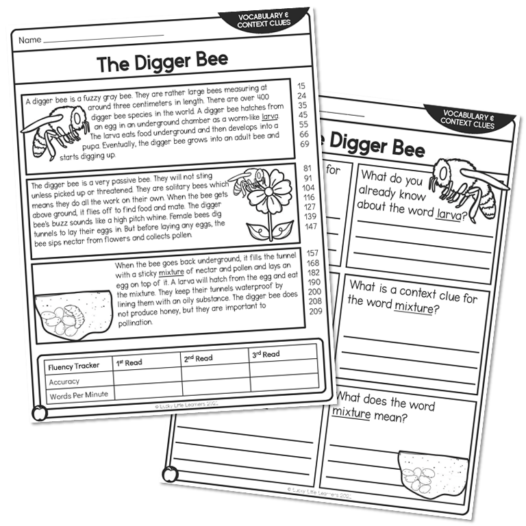 2nd Grade Vocabulary and Context Clues - The Digger Bee - Above - Lucky ...
