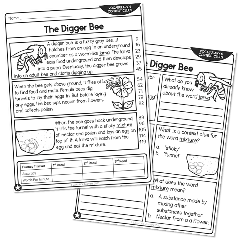 2nd Grade Vocabulary and Context Clues - The Digger Bee - Below - Lucky ...