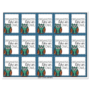 Brag Tags - Animal Compliments - Organized like an Owl - Lucky Little ...