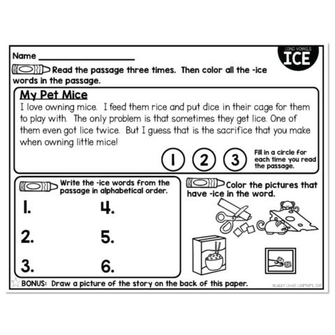 ICE - Long Vowels Phonics Mats 2nd Grade - Lucky Little Learners