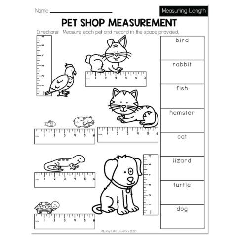 Spring - Early Finishers 2nd Grade - Math - Measuring Lengths - Pet ...