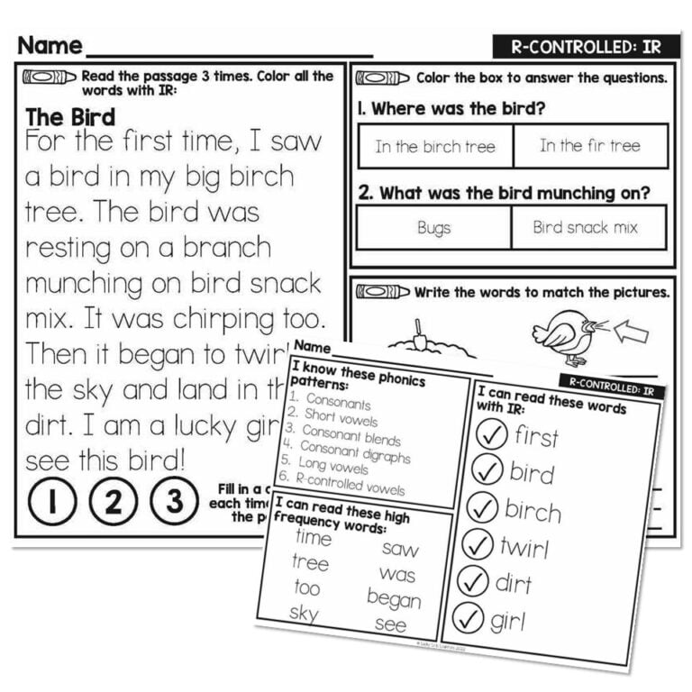 1st Grade Decodable Phonics Passage - R-Controlled - IR - Lucky Little ...