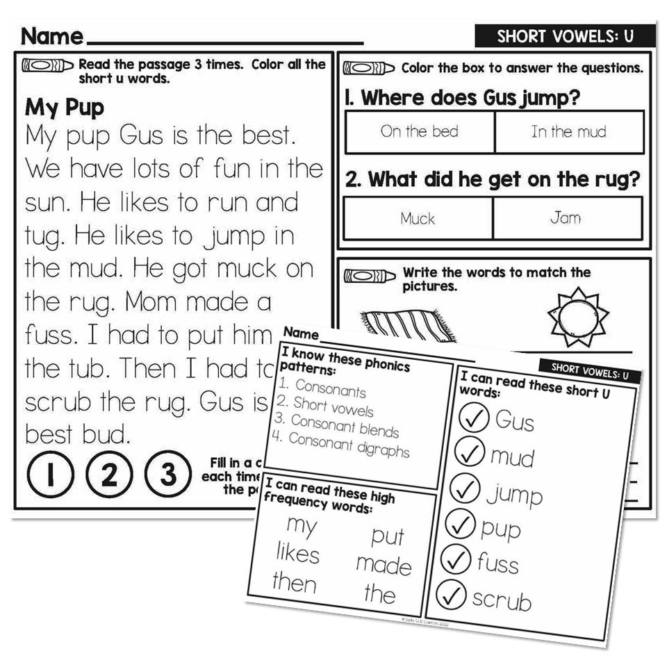 Decodable Passages With Comprehension Questions Fluen Vrogue co Decodable Passages With Comprehension Questions Fluen Vrogue co