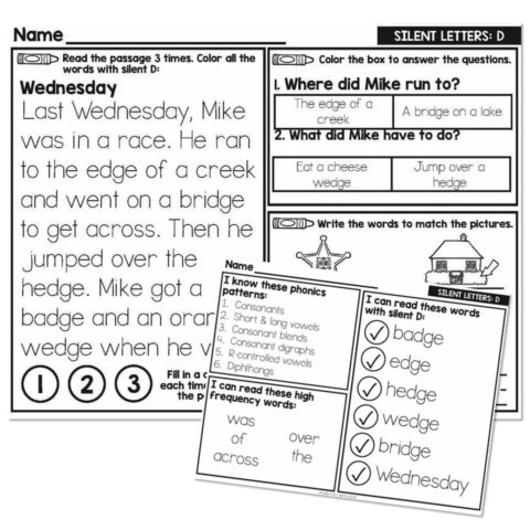 1st Grade Decodable Phonics Passage - Silent Letters - D - Lucky Little ...