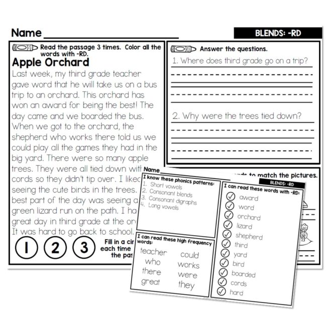 2nd Grade Decodable Phonics Passage - Ending Blends - RD - Lucky Little ...