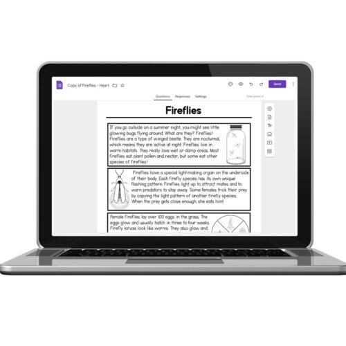 Digital 2nd Grade Reading Passages - Text Structures - Fireflies - At ...