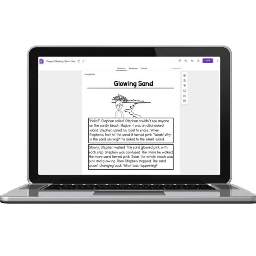 Digital 2nd Grade Reading Passages - Illustrations and Inferences ...