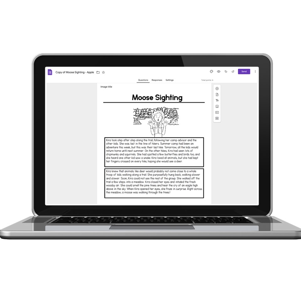 Digital 2nd Grade Reading Passages - Illustrations and Inferences ...