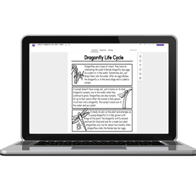 Digital 2nd Grade Reading Passage - Sequencing and Steps - Dragonfly ...
