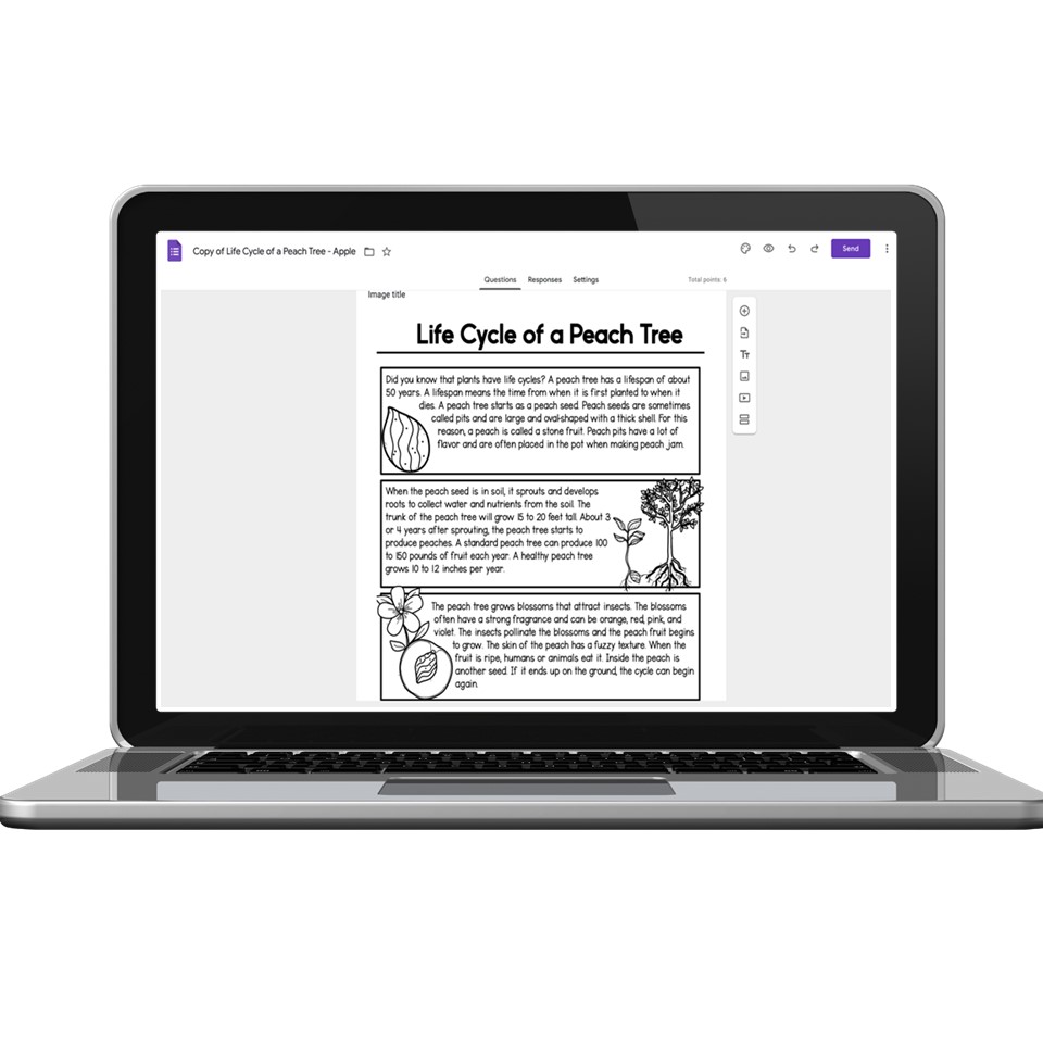 Digital 2nd Grade Reading Passage - Sequencing and Steps - Life Cycle ...