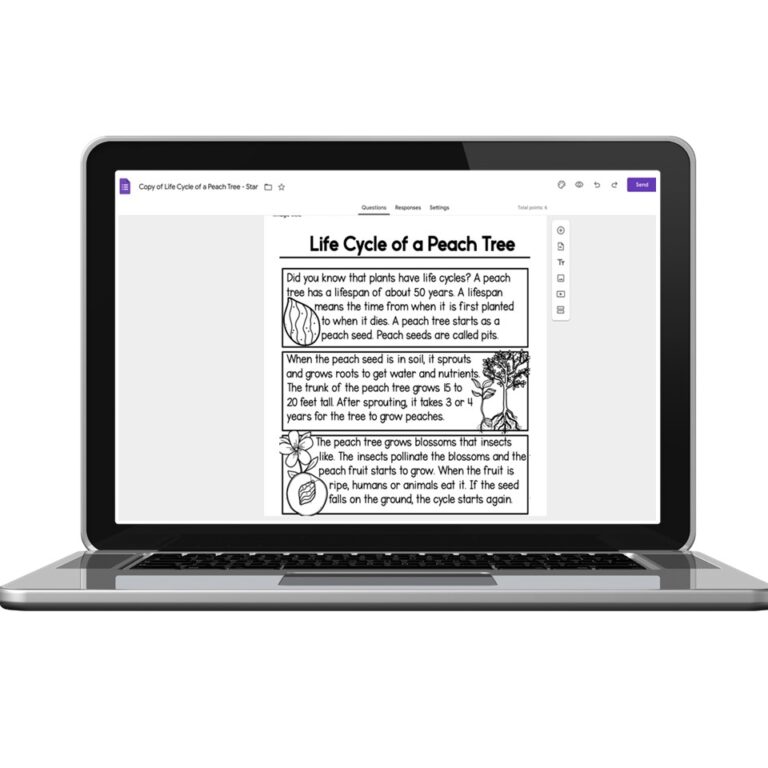 Digital 2nd Grade Reading Passage - Sequencing and Steps - Life Cycle ...