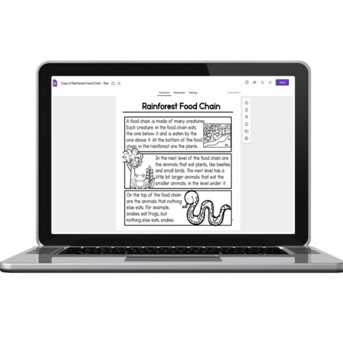 Digital 2nd Grade Reading Passage - Sequencing and Steps - Rainforest ...