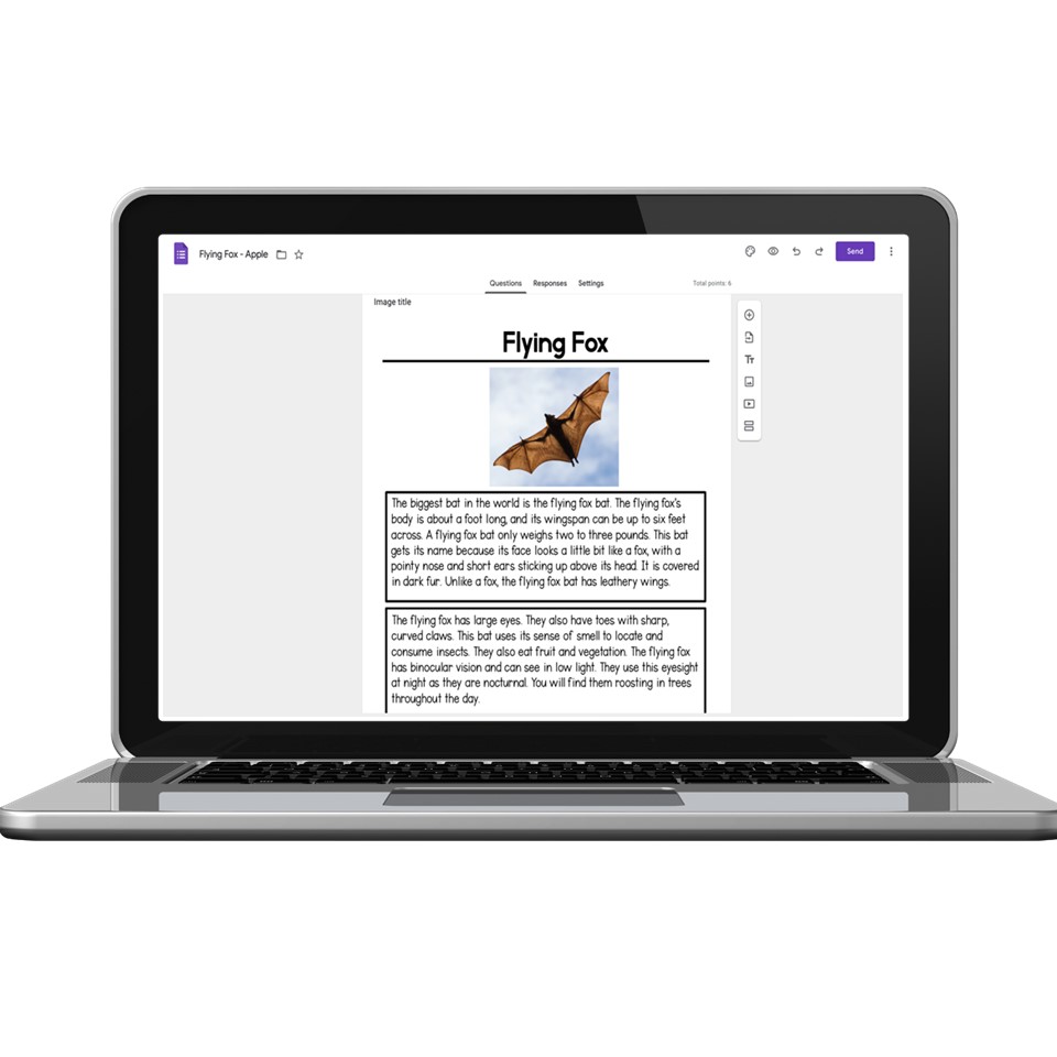 Digital 2nd Grade Reading Passages - Text Features - Flying Fox - Above ...
