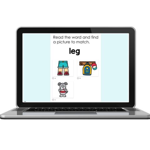 Digital 1st Grade Decodable Phonics Passage - Mixed Long A - CVCE ...