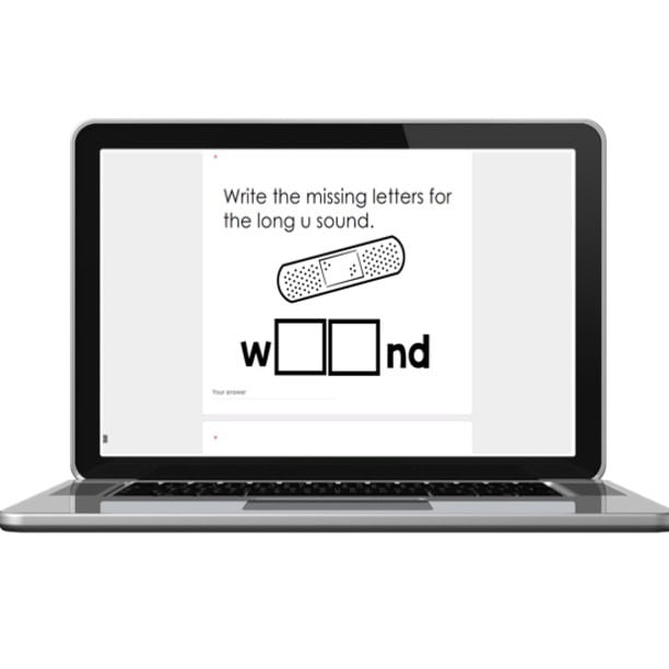 Digital 2nd Grade Spiral ELA - Week 31 - Day 4 - Lucky Little Learners