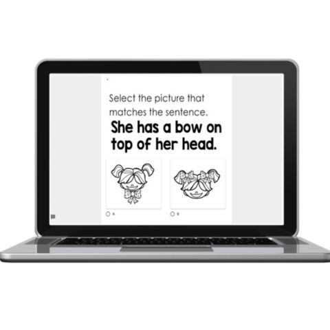 Pen Pal Pack - Friendly Letters - Anchor Chart - Lucky Little Learners