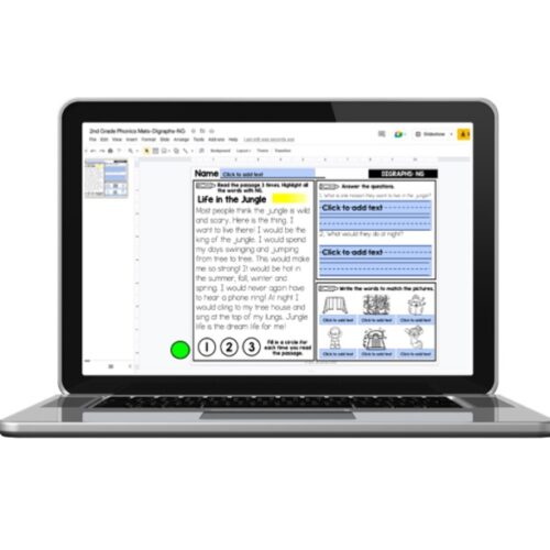 Digital 2nd Grade Decodable Phonics Passages - Digraphs - NG - Lucky ...