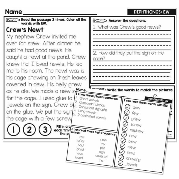 2nd Grade Decodable Phonics Passage - Diphthongs - EW - Lucky Little ...