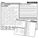 2nd Grade Decodable Phonics Passage - Diphthongs - OW - Lucky Little ...