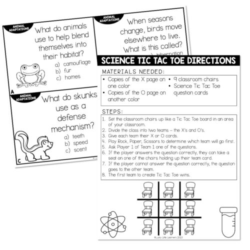 Classroom Transformation - Game Day - Science Tic Tac Toe - Lucky ...