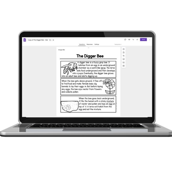 Digital 2nd Grade Reading Passage - Vocabulary and Context Clues - The ...