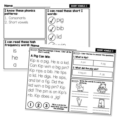 Lucky to Learn Phonics - Short I - 1st Grade Decodable Passage - A Pig ...