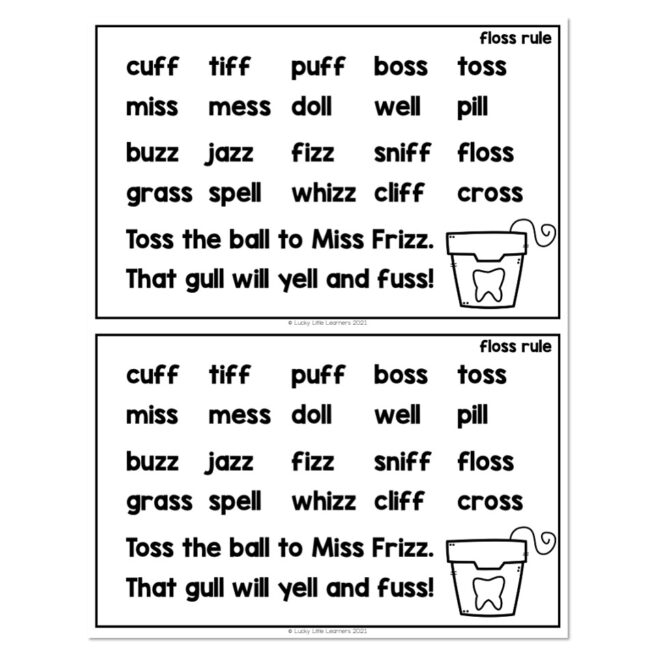 Lucky to Learn Phonics - Ending Double Consonants Floss - Word and ...
