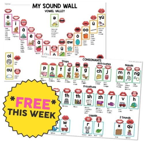 Small Group and Intervention Literacy Kit - Instructional Resources ...