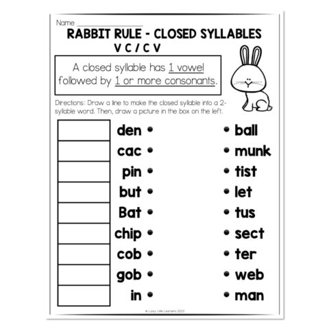 Multisyllable Words Book - Rabbit Rule - Closed Syllable - Matching ...