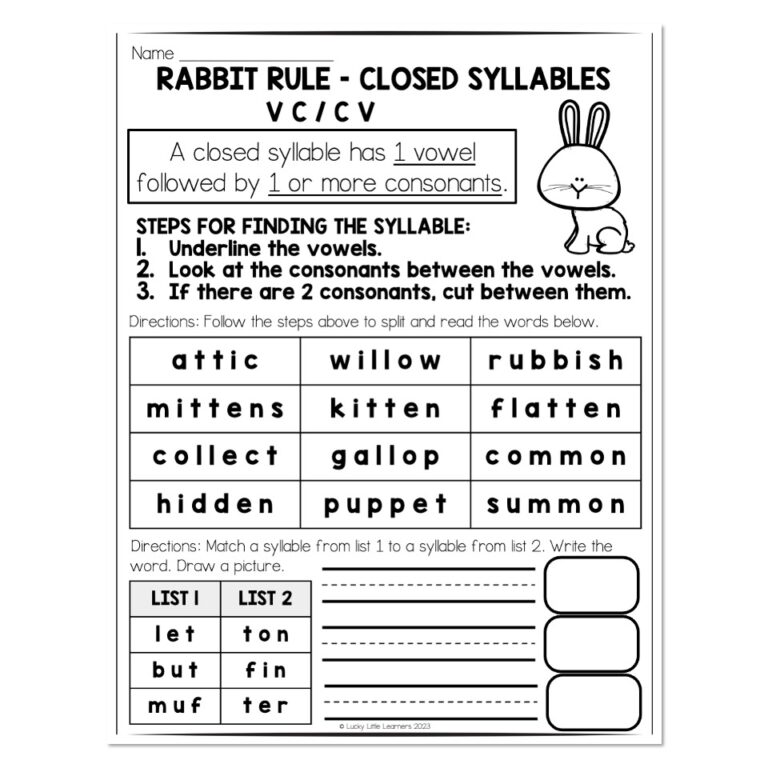 Multisyllable Words Book - Rabbit Rule - Closed Syllable - Reading and ...