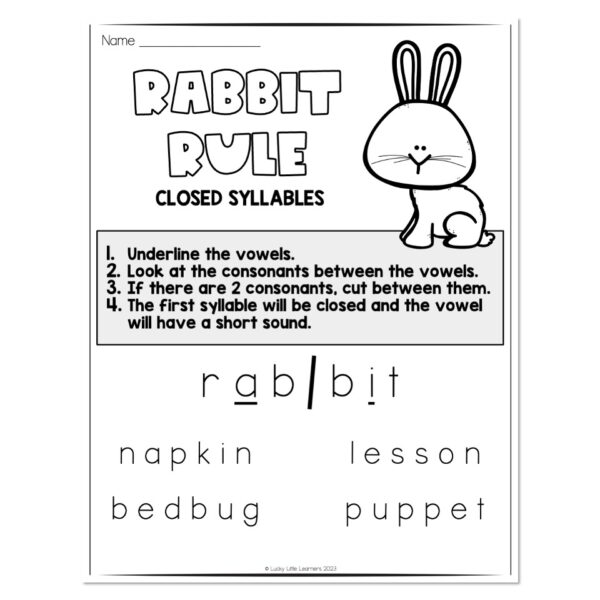Multisyllable Words Book - Rabbit Rule Overview - Closed Syllable ...