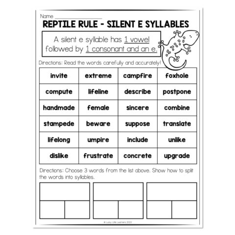 Multisyllable Words Book - Reptile Rule - Silent E Syllables - Reading ...