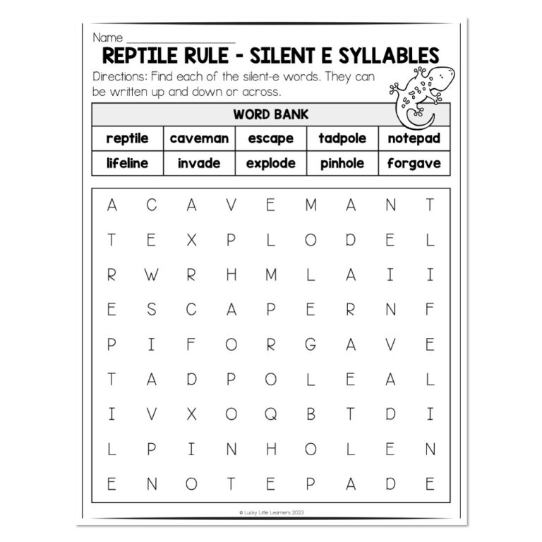 Multisyllable Words Book - Reptile Rule - Silent E Syllables - Word ...