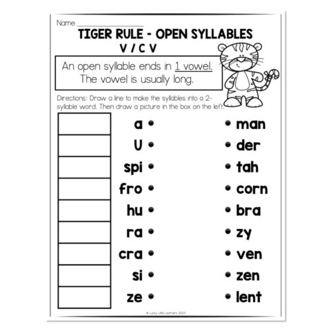 Multisyllable Words Book - Tiger Rule - Open Syllable - Matching ...