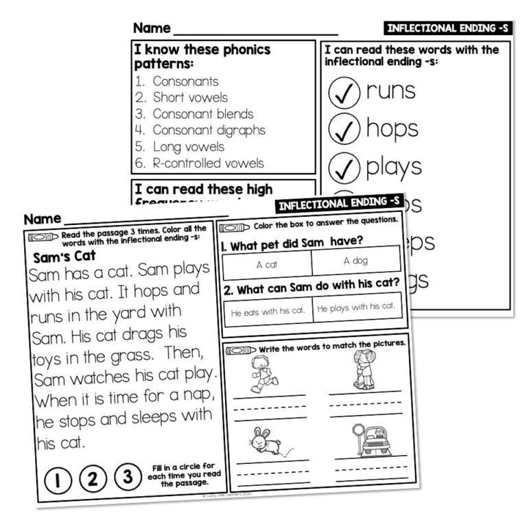 Lucky to Learn Phonics - Other Consonants - Inflectional Endings -S ...