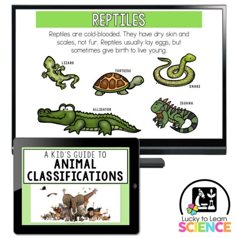 Lucky to Learn Science - Animal Classifications - Teaching Slides ...
