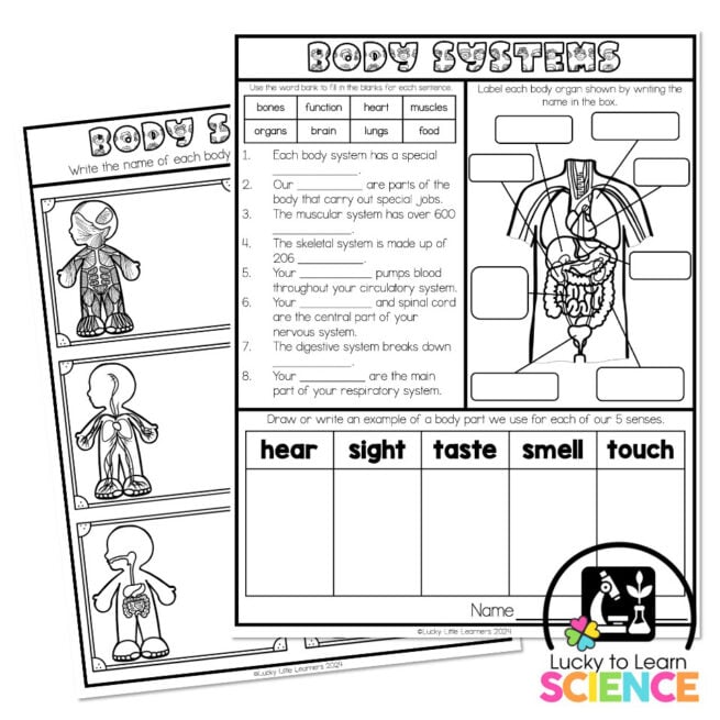 Lucky to Learn Science - Body Systems - One-Pager - Lucky Little Learners