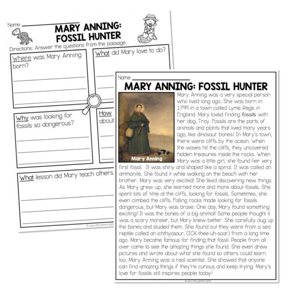 Dinosaur Transformation - Reading - Non Fiction - Mary Anning Reading ...