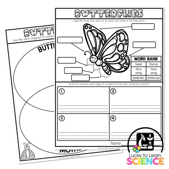 Lucky to Learn Science - Butterflies - One-Pager - Lucky Little Learners