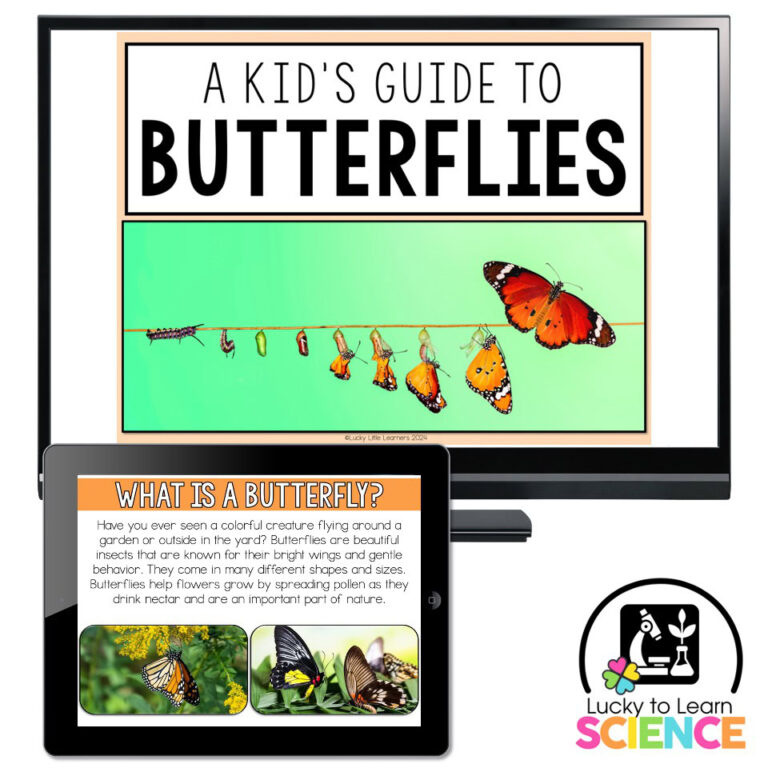 Lucky to Learn Science - Butterflies - Teaching Slides - Lucky Little ...